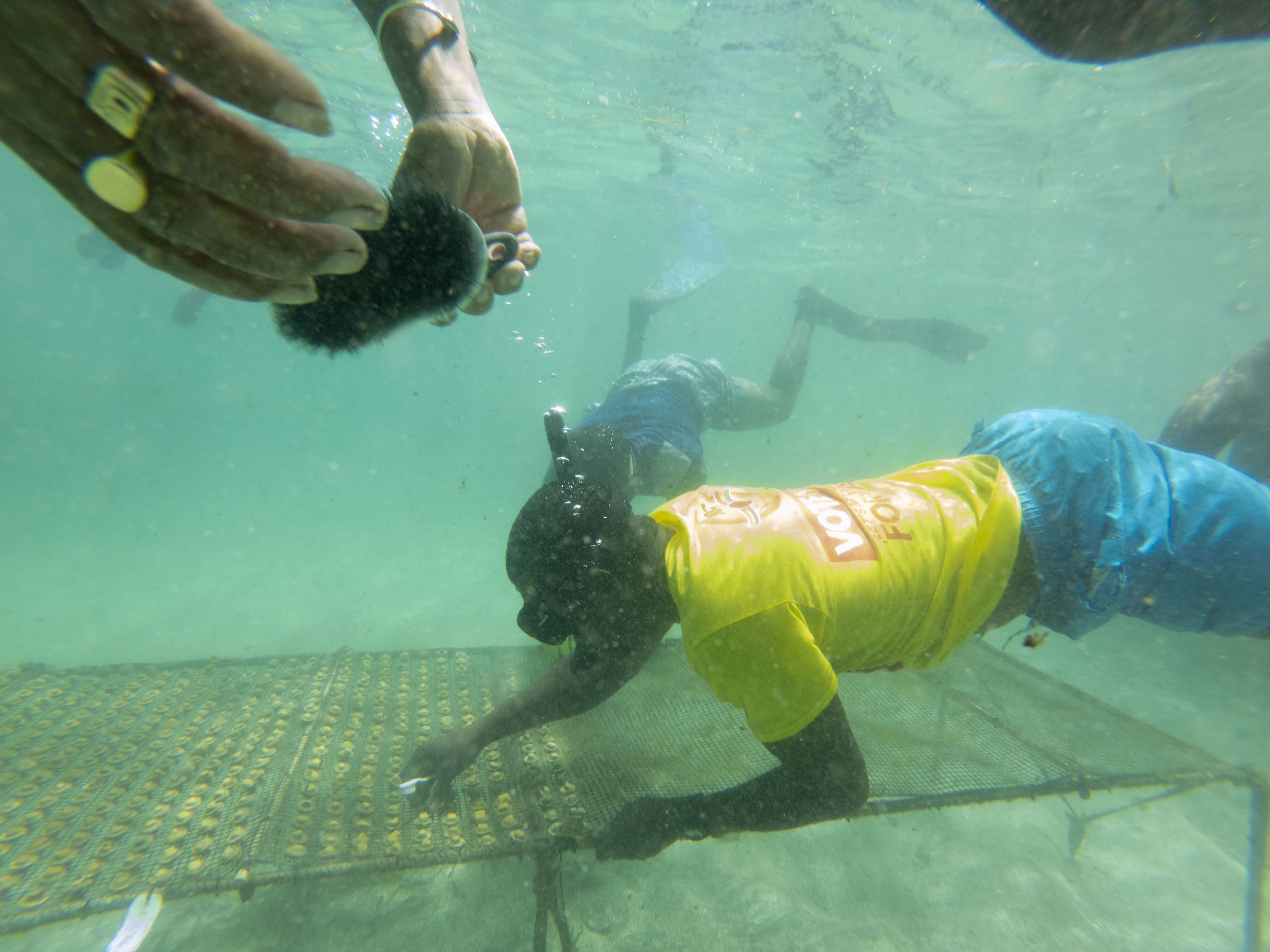 Climate Resilience From Mountaintop to Seafloor: How three communities ...