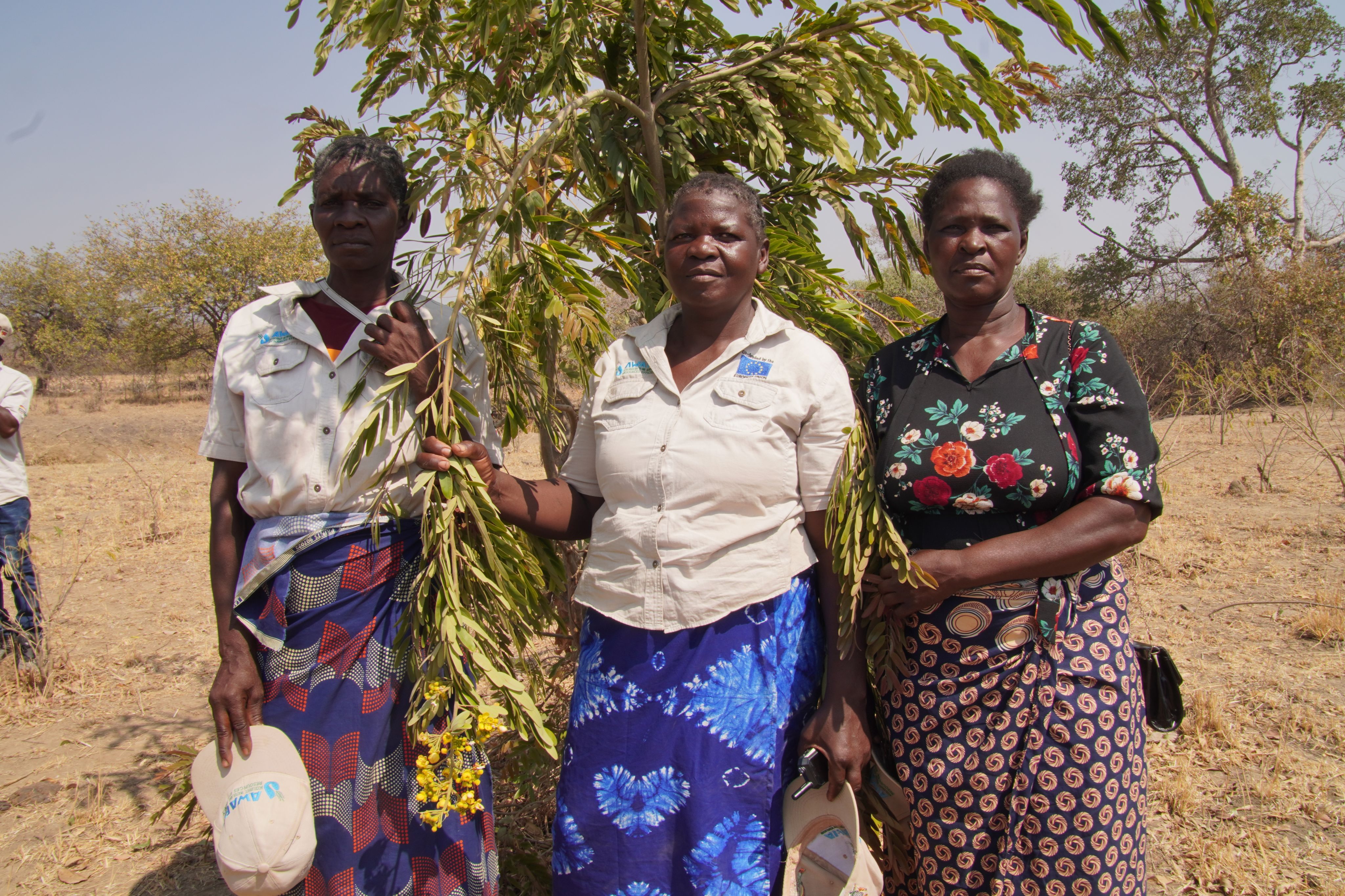 How Zambia is scaling up community efforts through its NAP