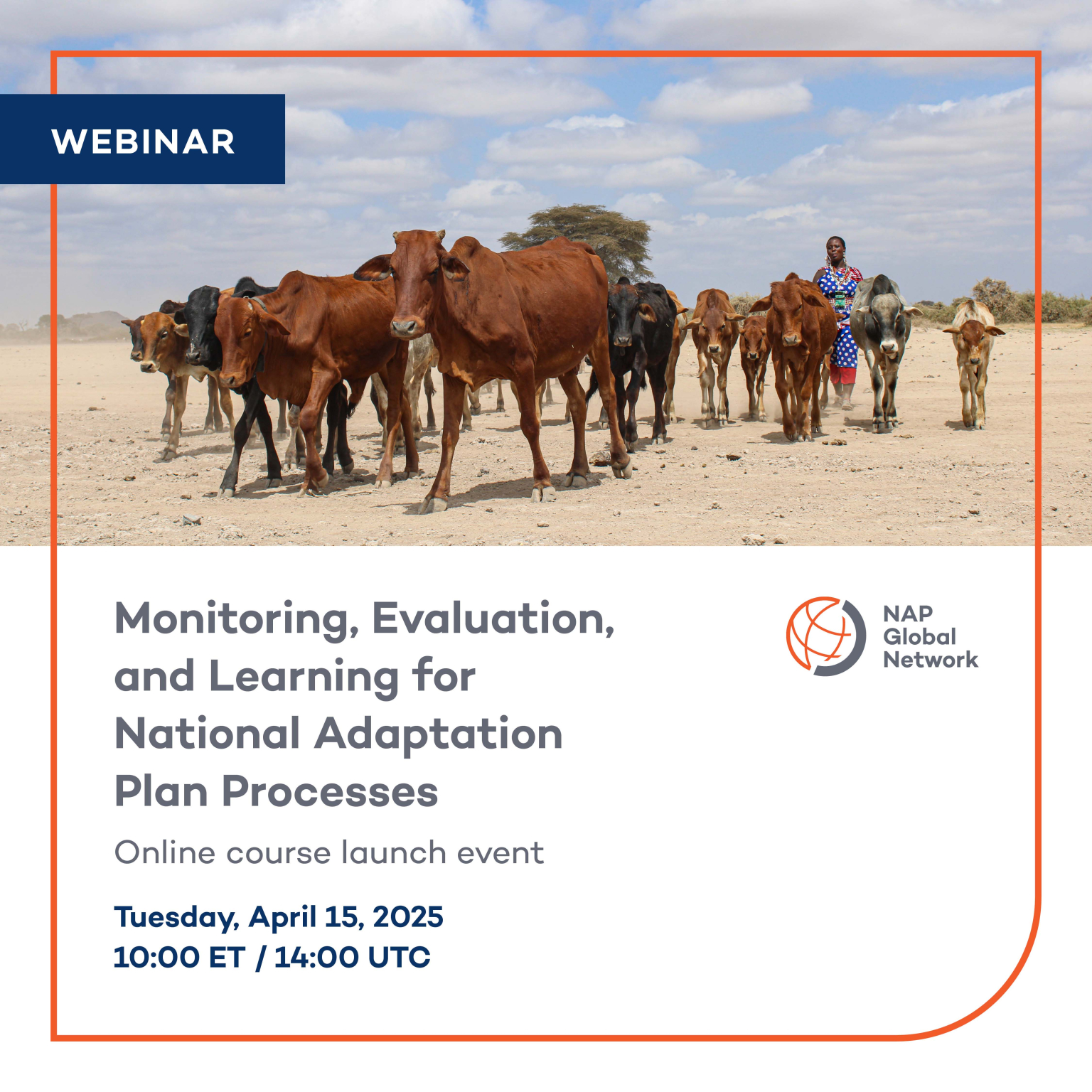 Online Course on Monitoring, Evaluation, and Learning for NAP Processes